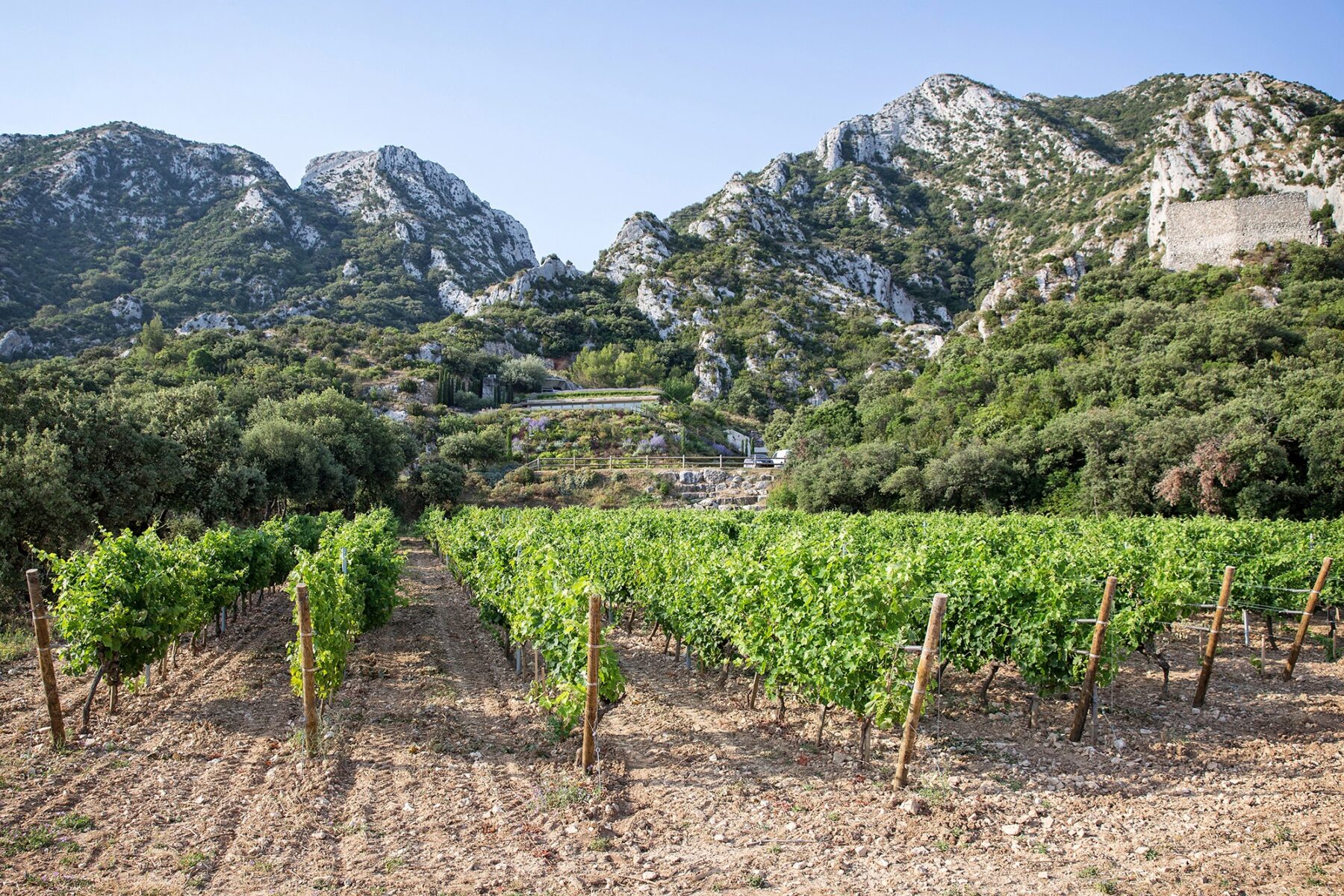 Château Romanin - La Route des Vins de Provence