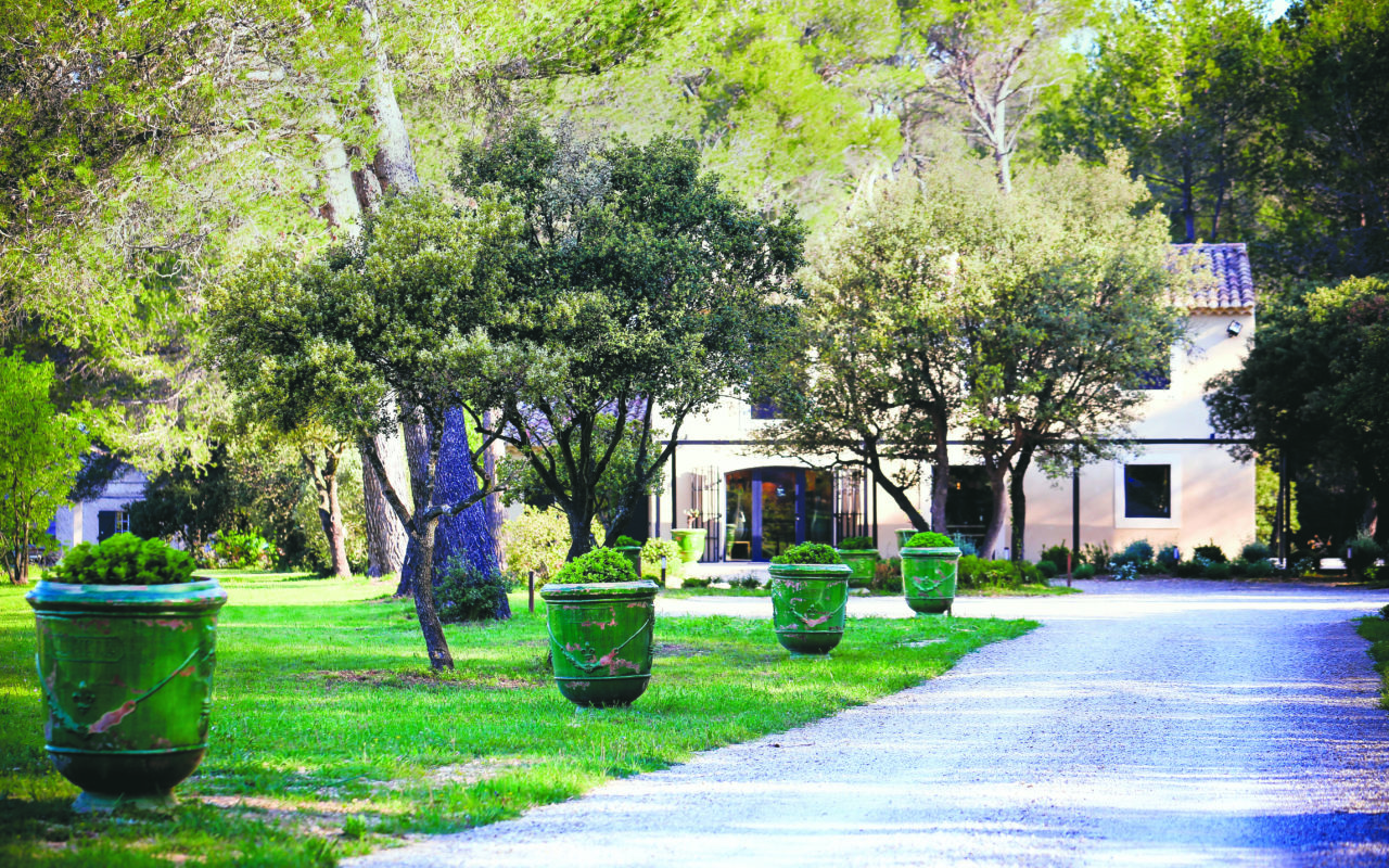 Domaine des Terres Blanches - La Route des Vins de Provence
