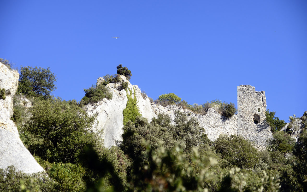Château Romanin - La Route des Vins de Provence