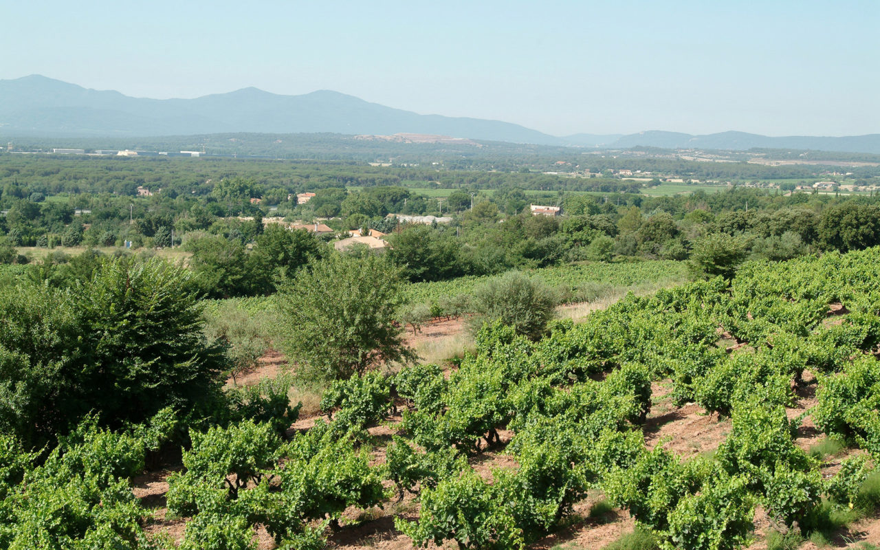 Château Matheron - La Route des Vins de Provence