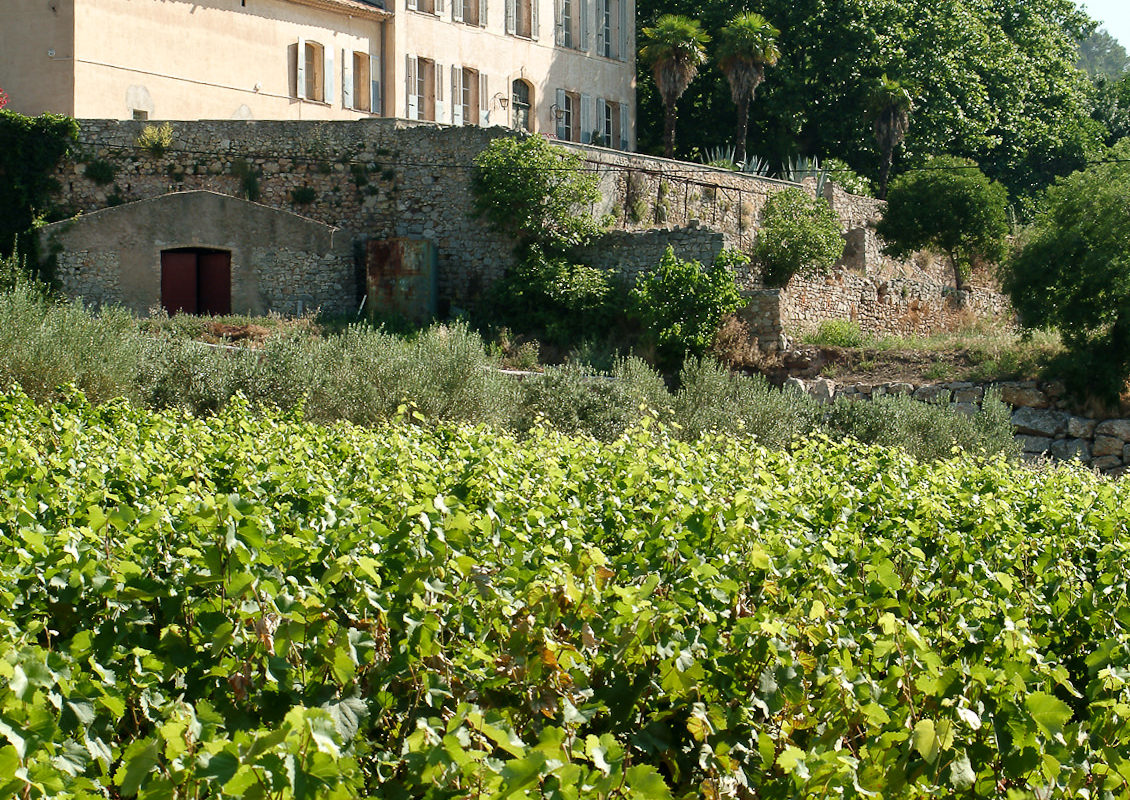 Château Matheron - La Route des Vins de Provence