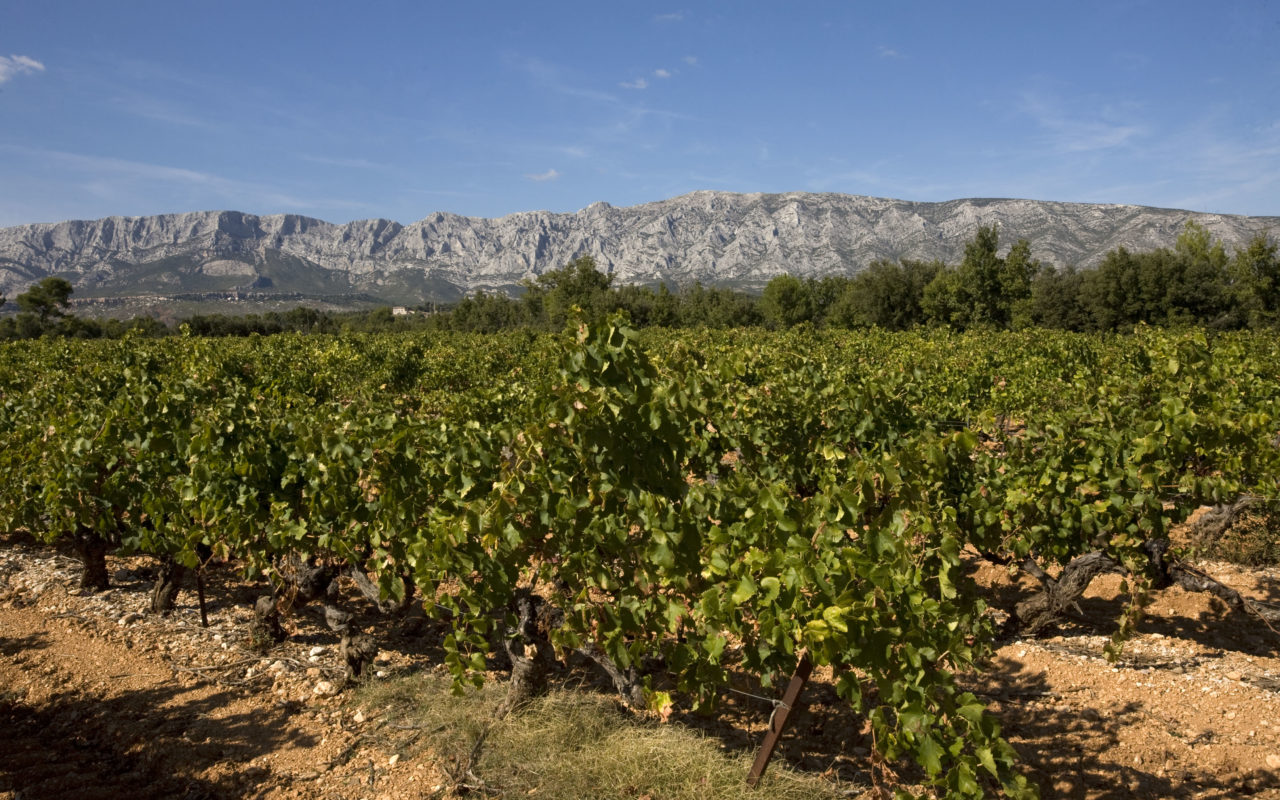 Les vignerons du Mont Sainte-Victoire - La Route des Vins de Provence